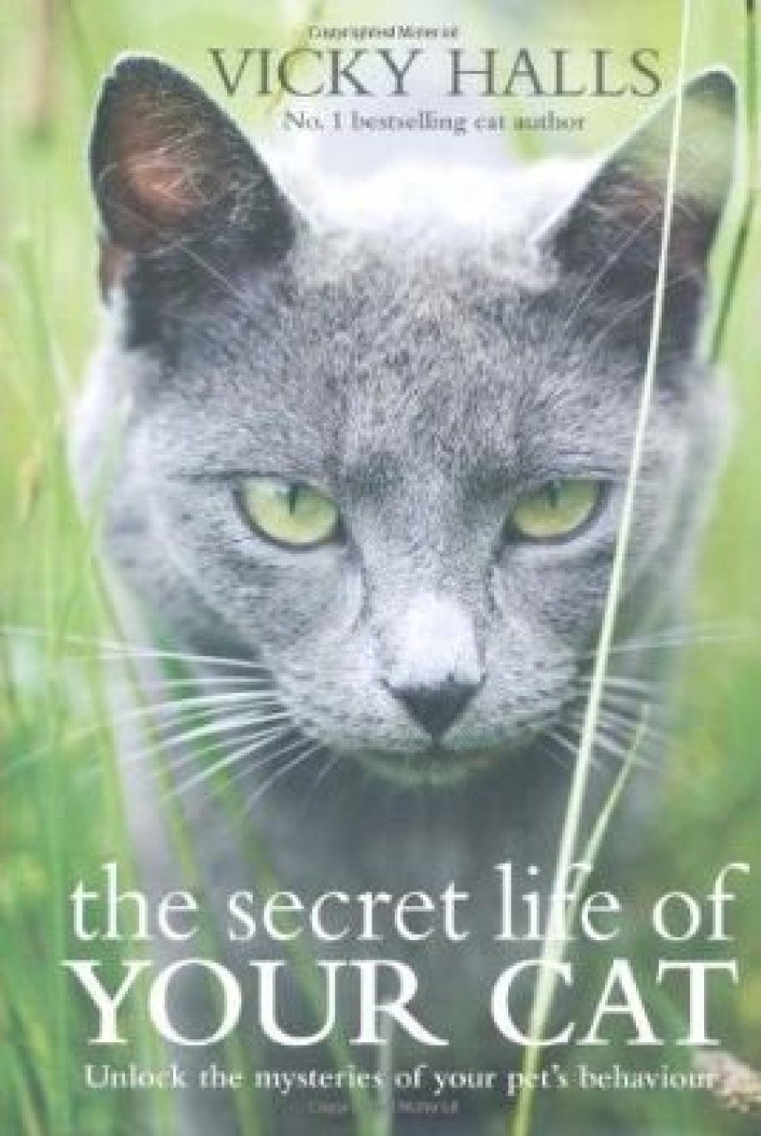 The Secret Life of Your Cat: The Visual Guide to All Your Cat's ...