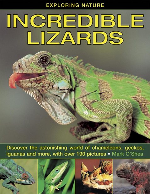 Incredible Lizards | NHBS Academic & Professional Books
