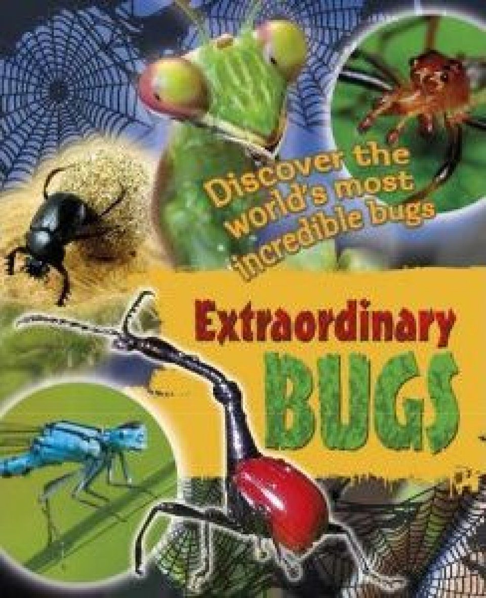 Extraordinary Bugs: Discover the World's Most Incredible Bugs | NHBS ...