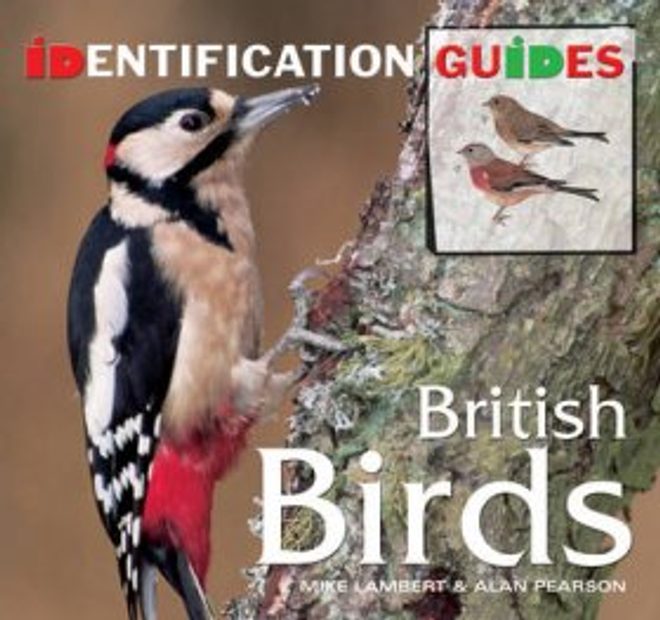 British Birds: Identification Guide | NHBS Field Guides & Natural History