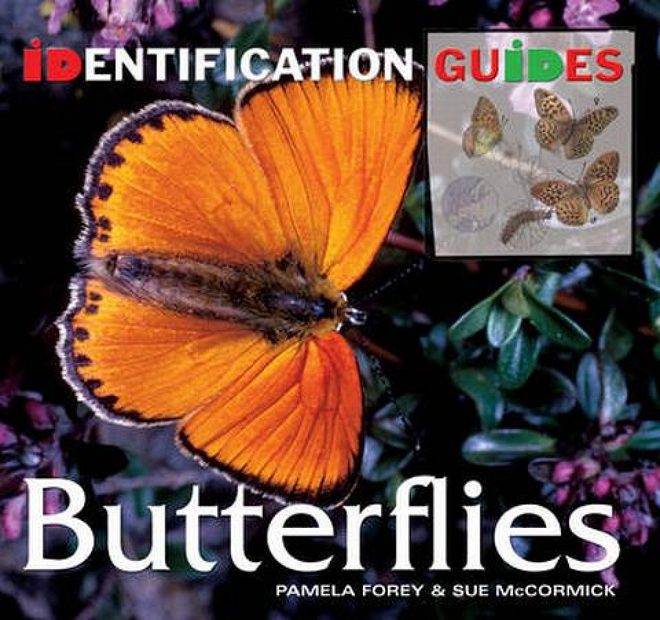 Butterflies: Identification Guide | NHBS Field Guides & Natural History