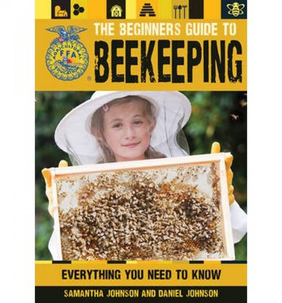 The Beginner's Guide to Beekeeping: Everything You Need to Know | NHBS ...