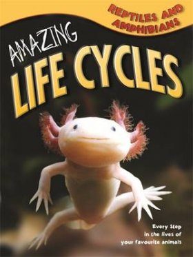 Amazing Life Cycles: Reptiles and Amphibians | NHBS Academic ...