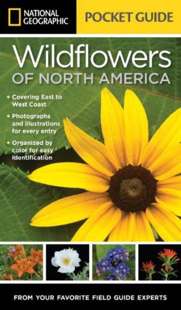 Wildflowers of North America | NHBS Field Guides & Natural History