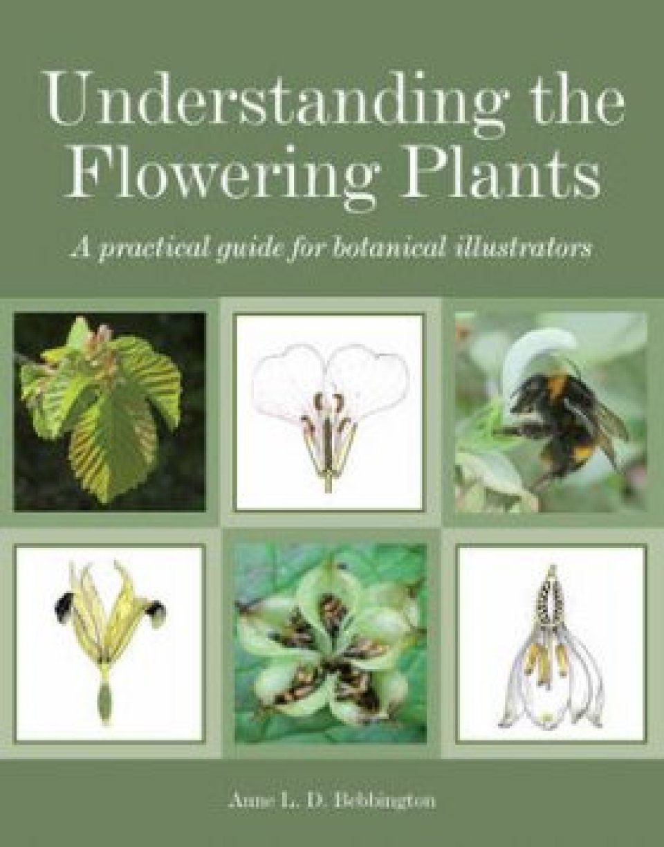 Understanding the Flowering Plants: A Practical Guide for Botanical ...