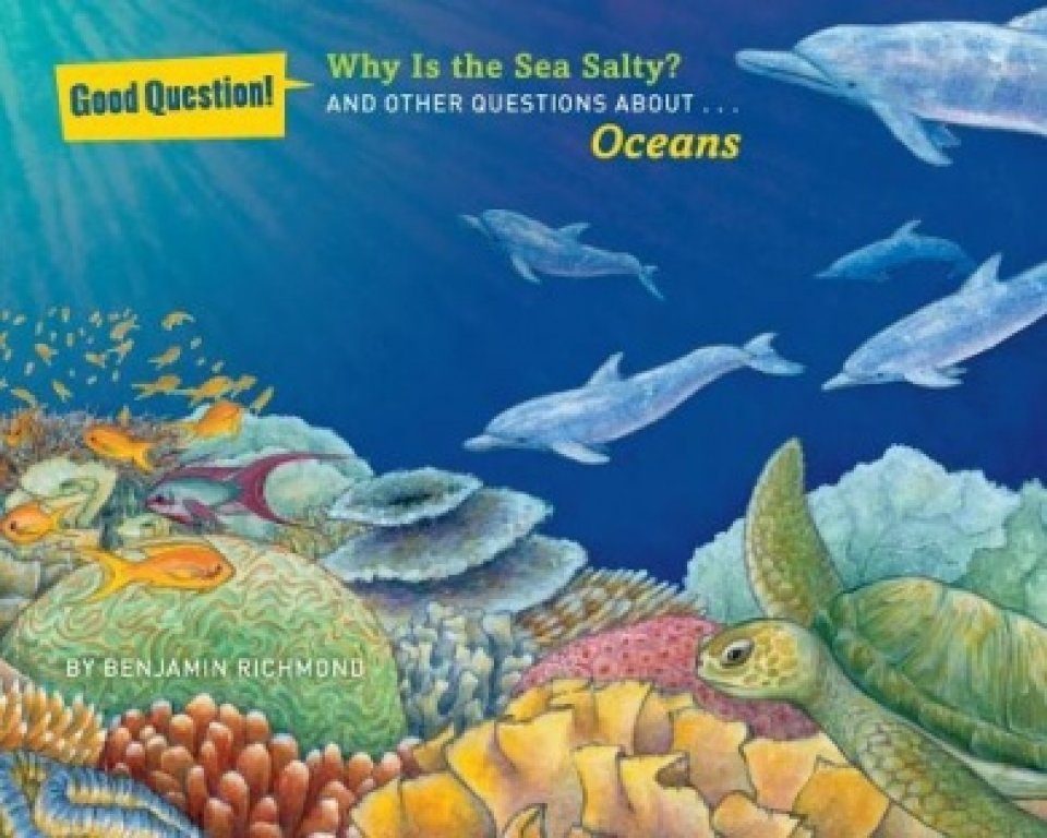 Why Is the Sea Salty?: And Other Questions about Oceans | NHBS Academic ...