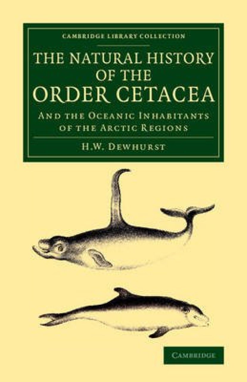 The Natural History of the Order Cetacea: And the Oceanic Inhabitants ...