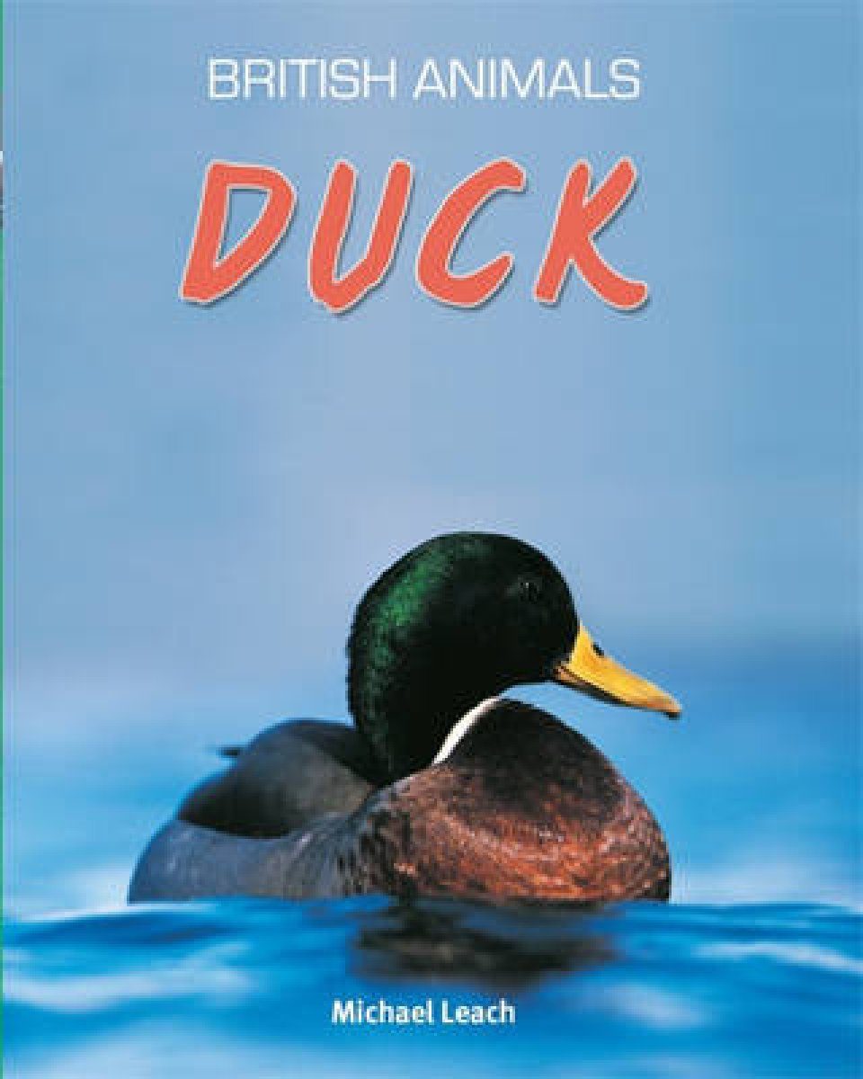 Duck | NHBS Academic & Professional Books