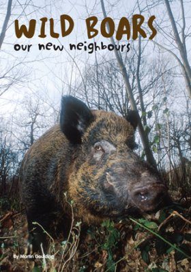Wild Boars: Our New Neighbours | NHBS Academic & Professional Books
