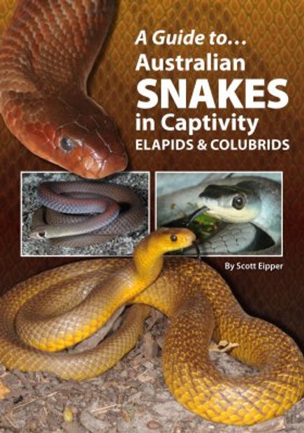 A Guide to Australian Snakes in Captivity: Elapids and Colubrids | NHBS ...