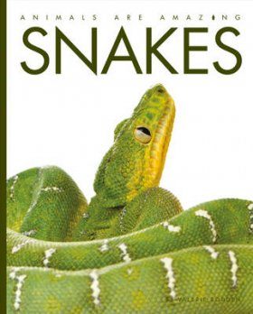 Snakes | NHBS Academic & Professional Books