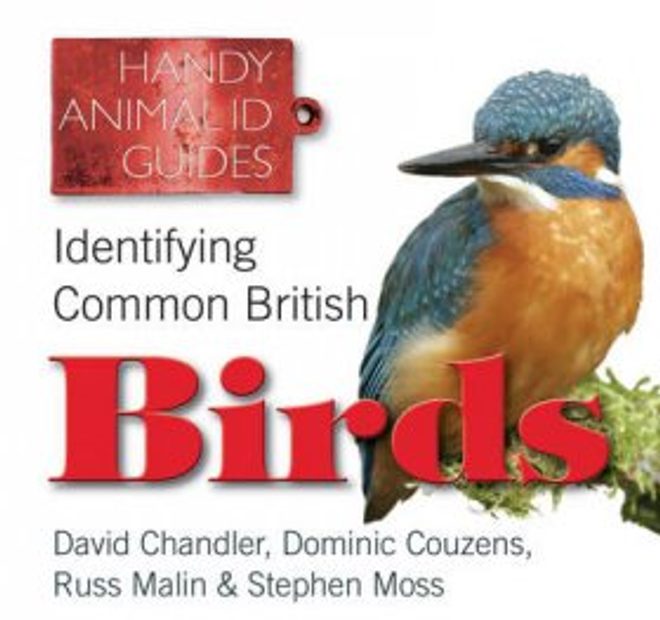 Identifying Common British Birds | NHBS Field Guides & Natural History