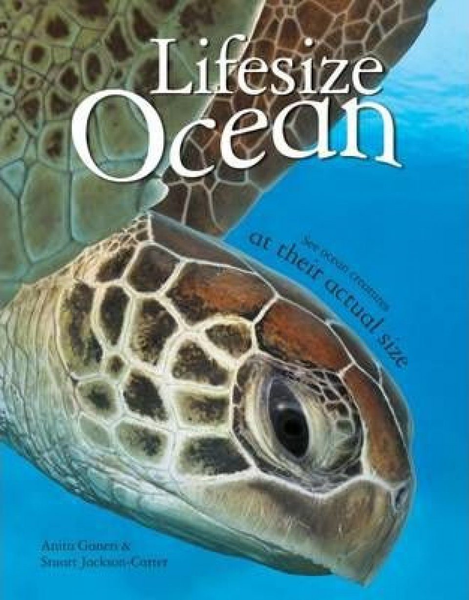 Lifesize Ocean: See Ocean Creatures at their Actual Size | NHBS ...