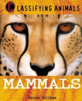 Classifying Animals: Mammals | NHBS Academic & Professional Books