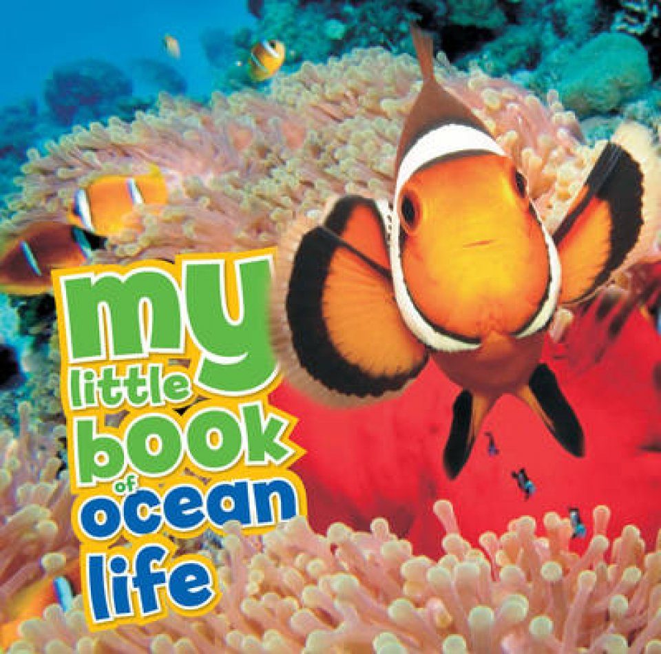 My Little Book of Ocean Life | NHBS Academic & Professional Books