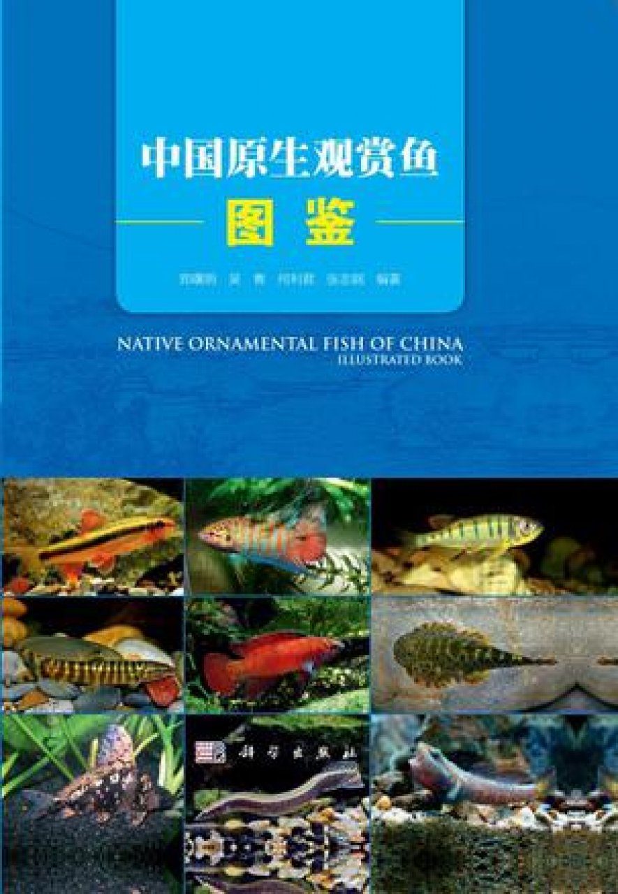 Native Ornamental Fish of China: lllustrated Book [Chinese] | NHBS ...