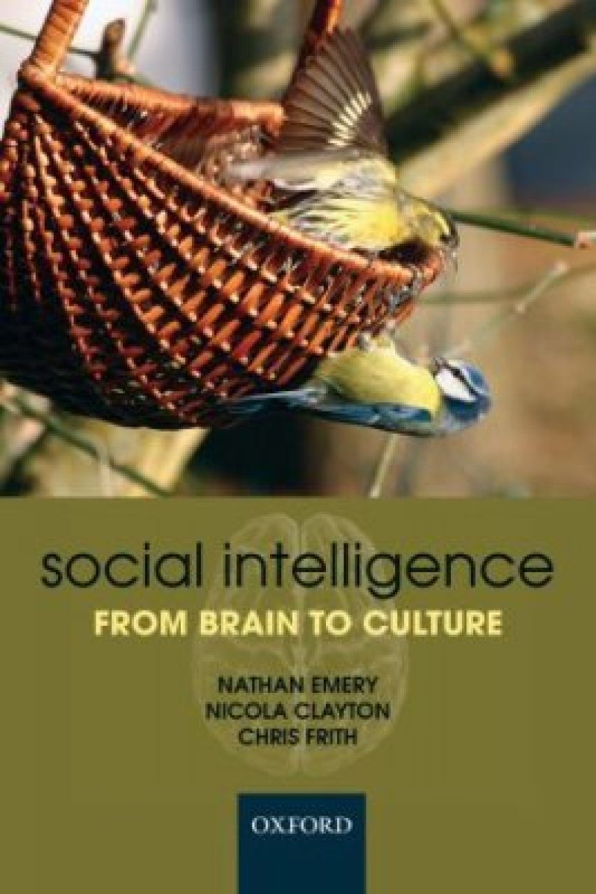 Social Intelligence: From Brain to Culture | NHBS Academic ...