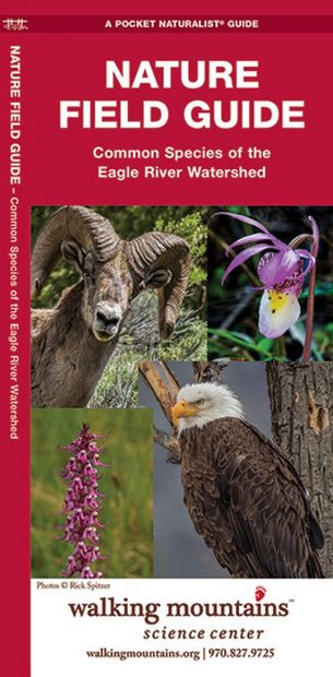 Nature Field Guide: Common Species of the Eagle River Watershed | NHBS ...