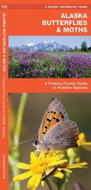 Alaska Butterflies & Moths: A Folding Pocket Guide to Familiar Species ...