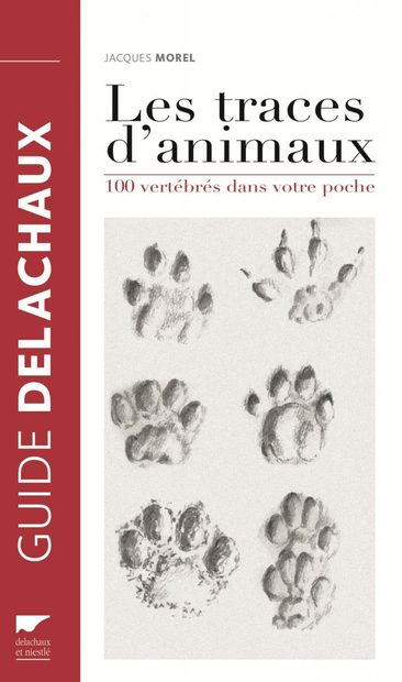 Les Traces d'Animaux: 100 Vertébrés dans Votre Poche [Animal Tracks ...