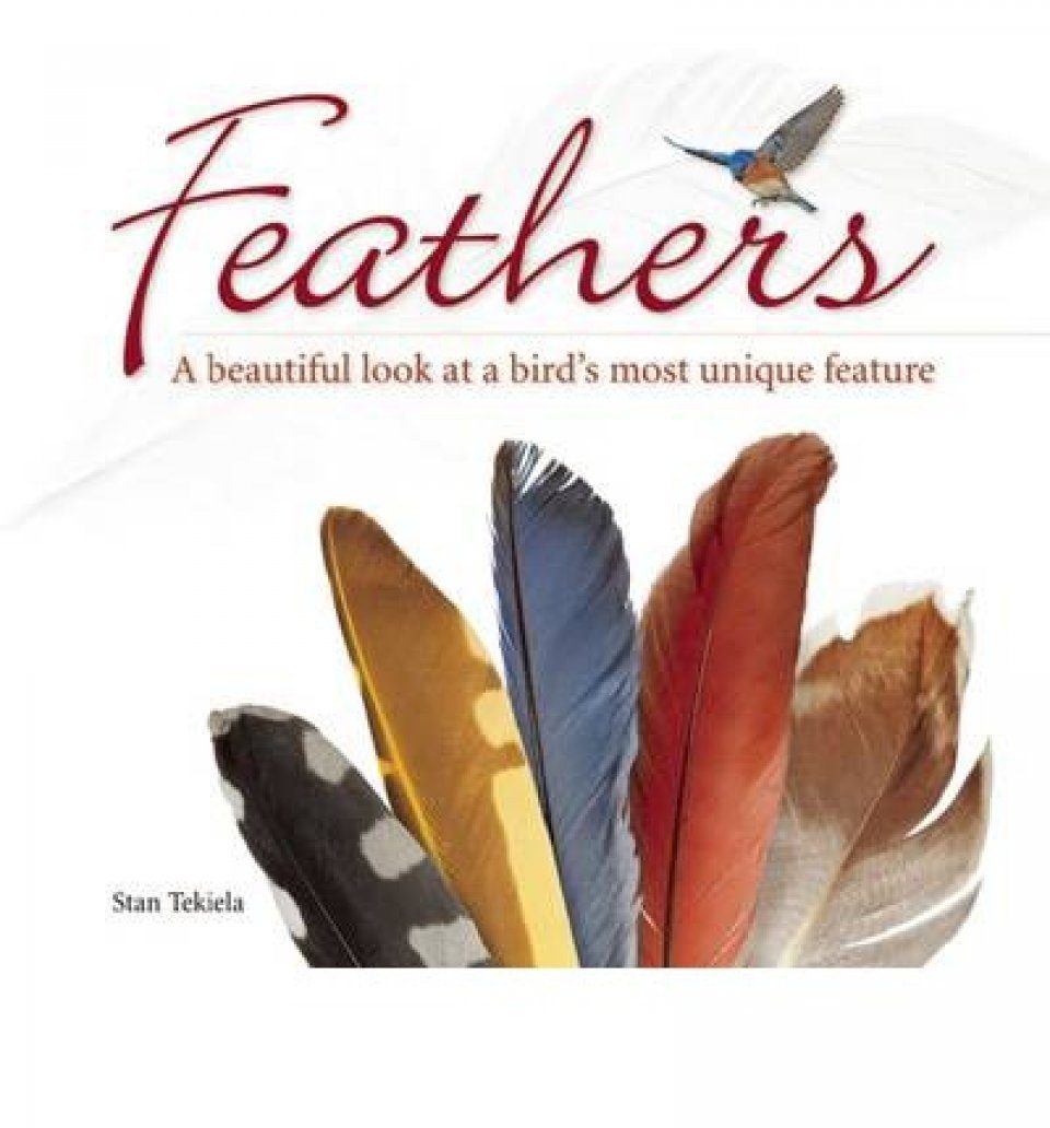 Feathers: A Beautiful Look at a Bird's Most Unique Feature | NHBS ...