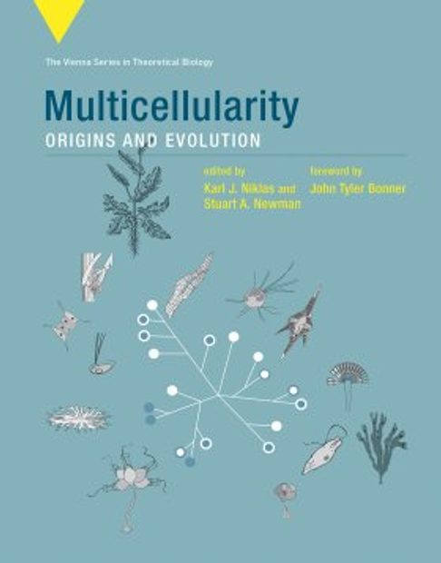 Multicellularity: Origins and Evolution | NHBS Academic & Professional ...