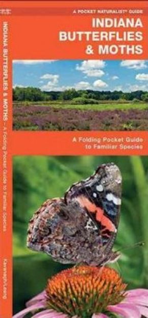 Indiana Butterflies & Moths: A Folding Pocket Guide to Familiar Species ...