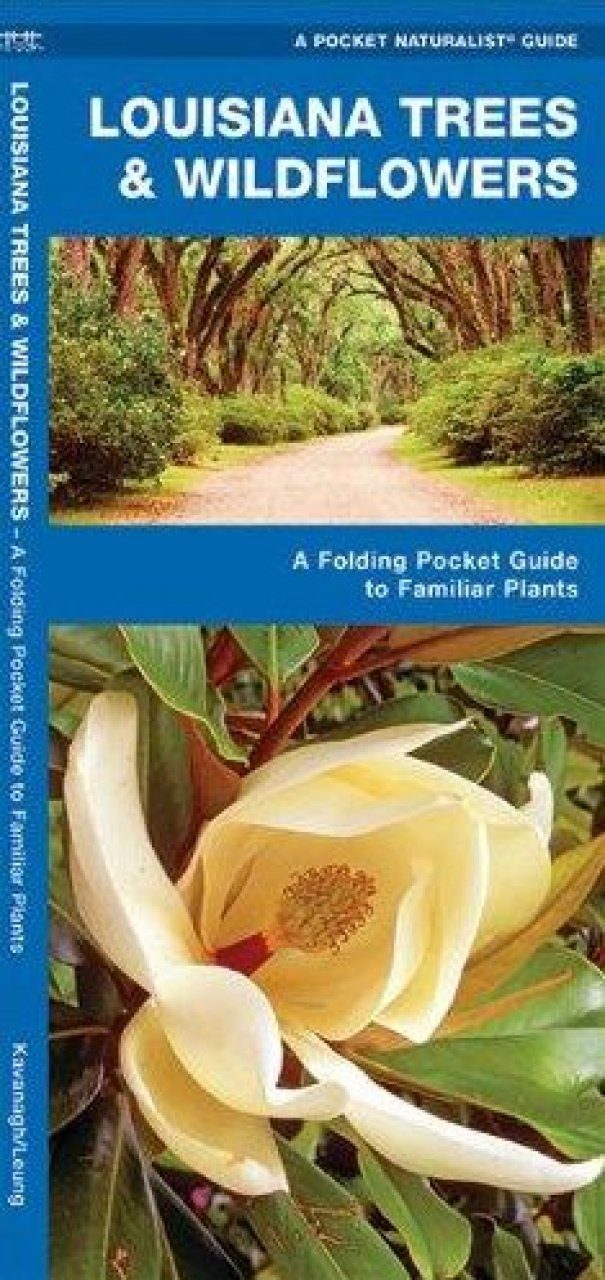 Louisiana Trees & Wildflowers: A Folding Pocket Guide to Familiar ...