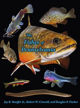 The Fishes of Pennsylvania | NHBS Academic & Professional Books