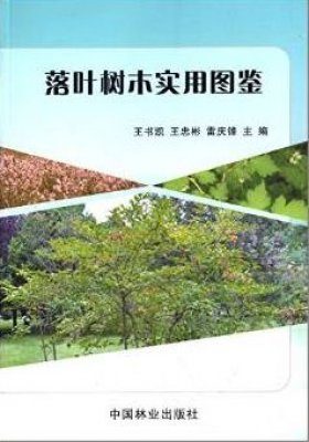 Practical Atlas of Deciduous Trees [Chinese] | NHBS Academic ...