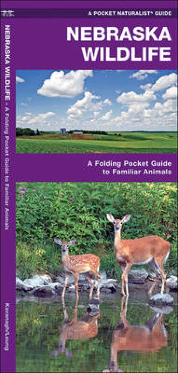 Nebraska Wildlife: A Folding Pocket Guide to Familiar Species | NHBS ...