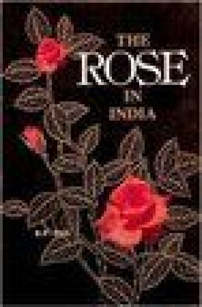 The Rose in India | NHBS Academic & Professional Books
