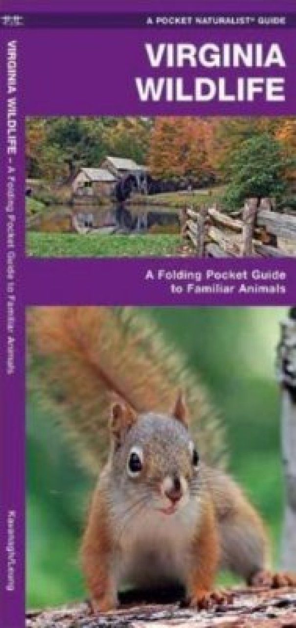 Virginia Wildlife: A Folding Pocket Guide to Familiar Animals | NHBS ...