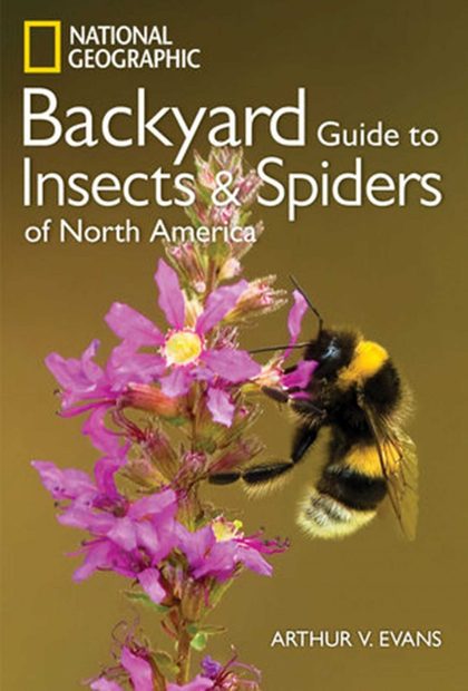 Backyard Guide to Insects & Spiders of North America | NHBS Field ...