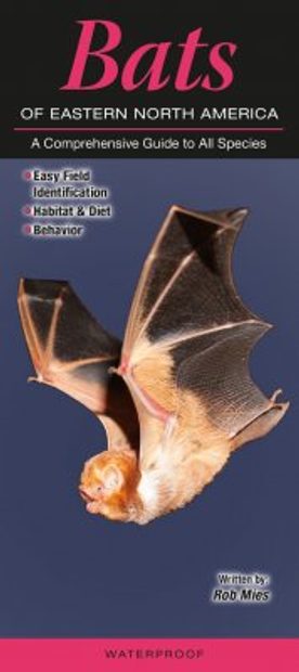 Bats of Eastern North America: A Comprehensive Guide to All Species ...