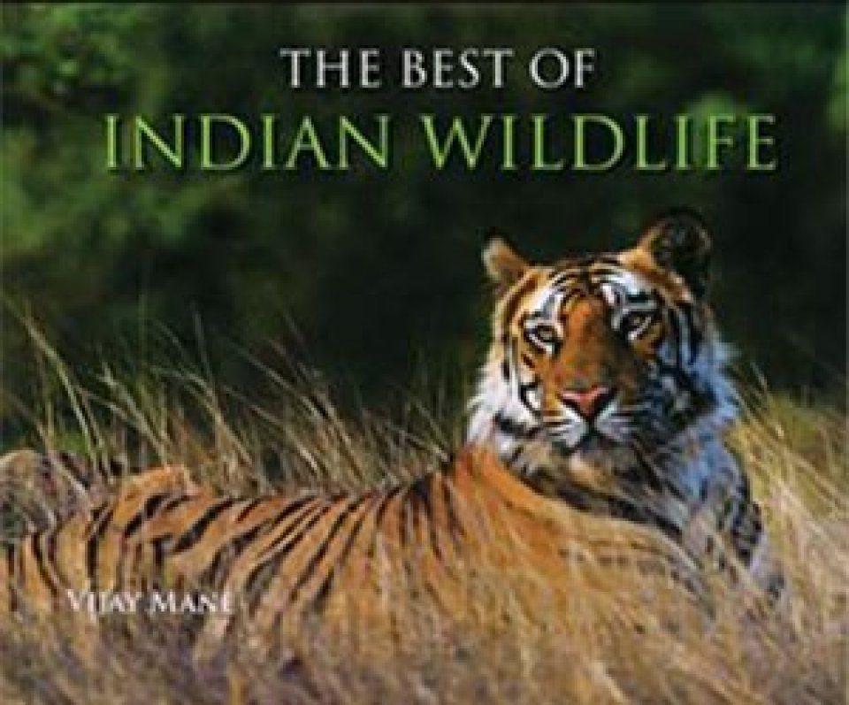 The Best of Indian Wildlife | NHBS Academic & Professional Books