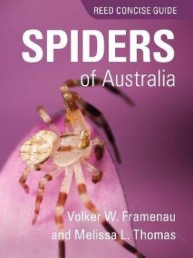 Spiders of Australia | NHBS Field Guides & Natural History