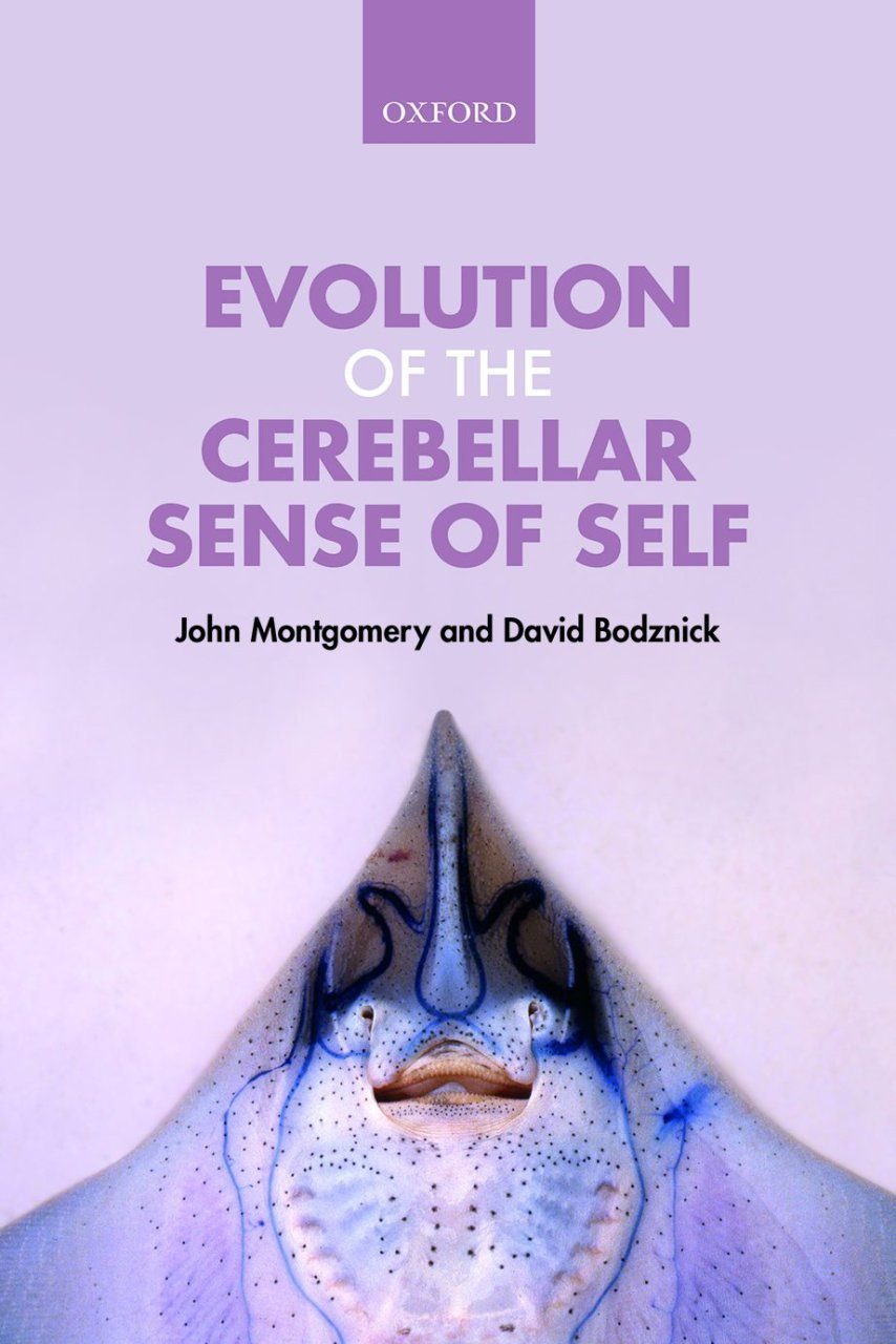 Sense of self