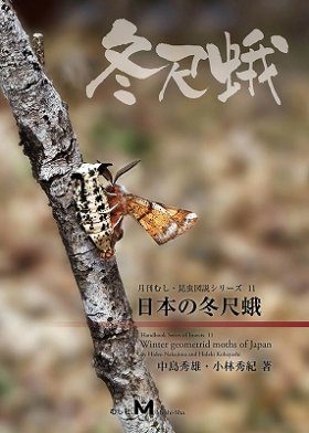Winter Geometrid Moths of Japan [Japanese] | NHBS Academic ...