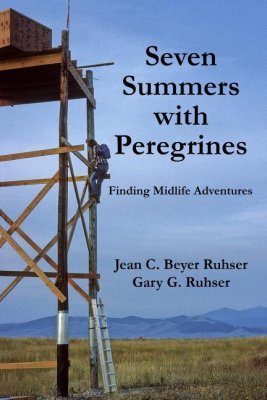 Seven Summers with Peregrines: Finding Midlife Adventures | NHBS ...