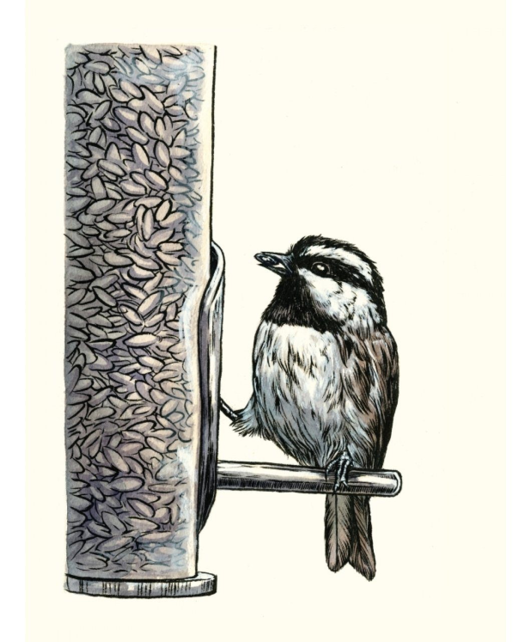 Birdnote: Quirks, and Stories of 100 Birds from the Popular Public ...