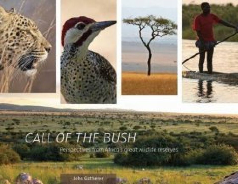Call of the Bush: Perspectives from Africa's Great Wildlife Reserves ...