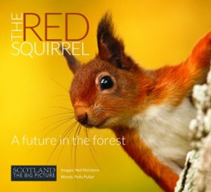 The Red Squirrel: A Future in the Forest | NHBS Academic & Professional ...