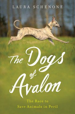 The Dogs of Avalon: The Race to Save Animals in Peril | NHBS Good Reads