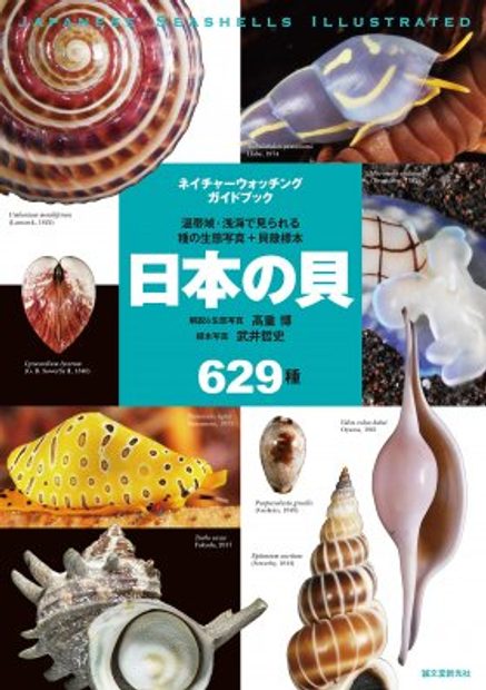 Japanese Seashells Illustrated [Japanese] | NHBS Field Guides & Natural ...