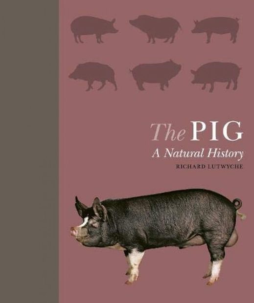 The Pig: A Natural History | NHBS Field Guides & Natural History