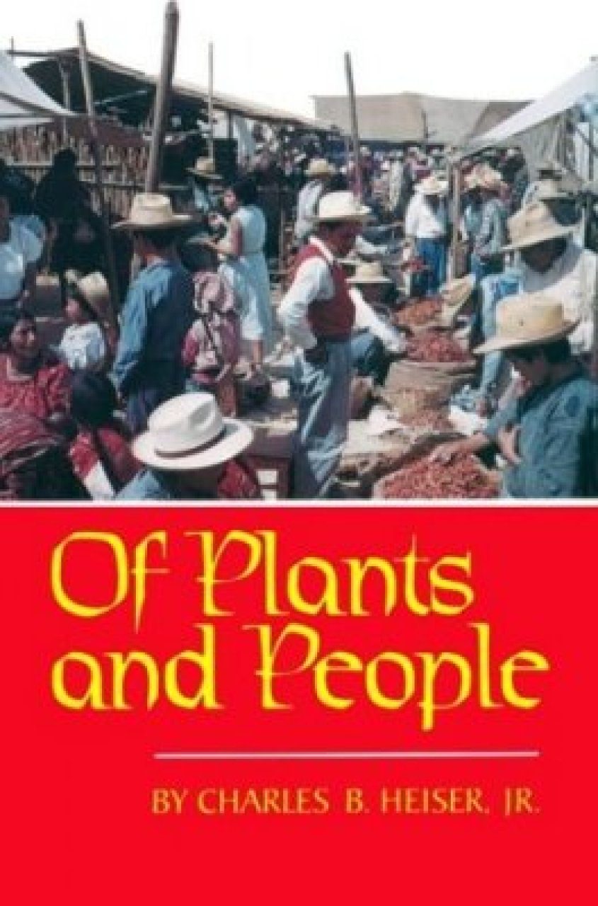 Plants, People And Practices _ Traditional Indigenous Medicine with ...
