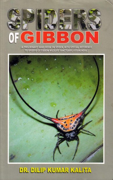 Spiders of Gibbon | NHBS Field Guides & Natural History
