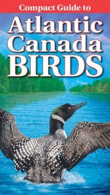 Compact Guide to Atlantic Canada Birds | NHBS Field Guides & Natural ...