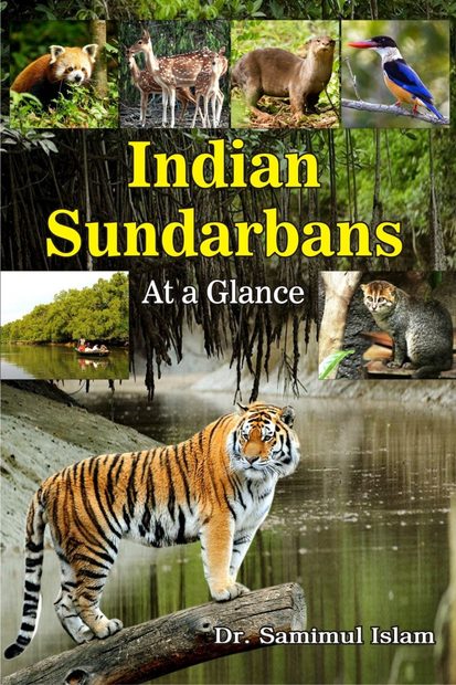 Indian Sundarbans: At a Glance | NHBS Academic & Professional Books